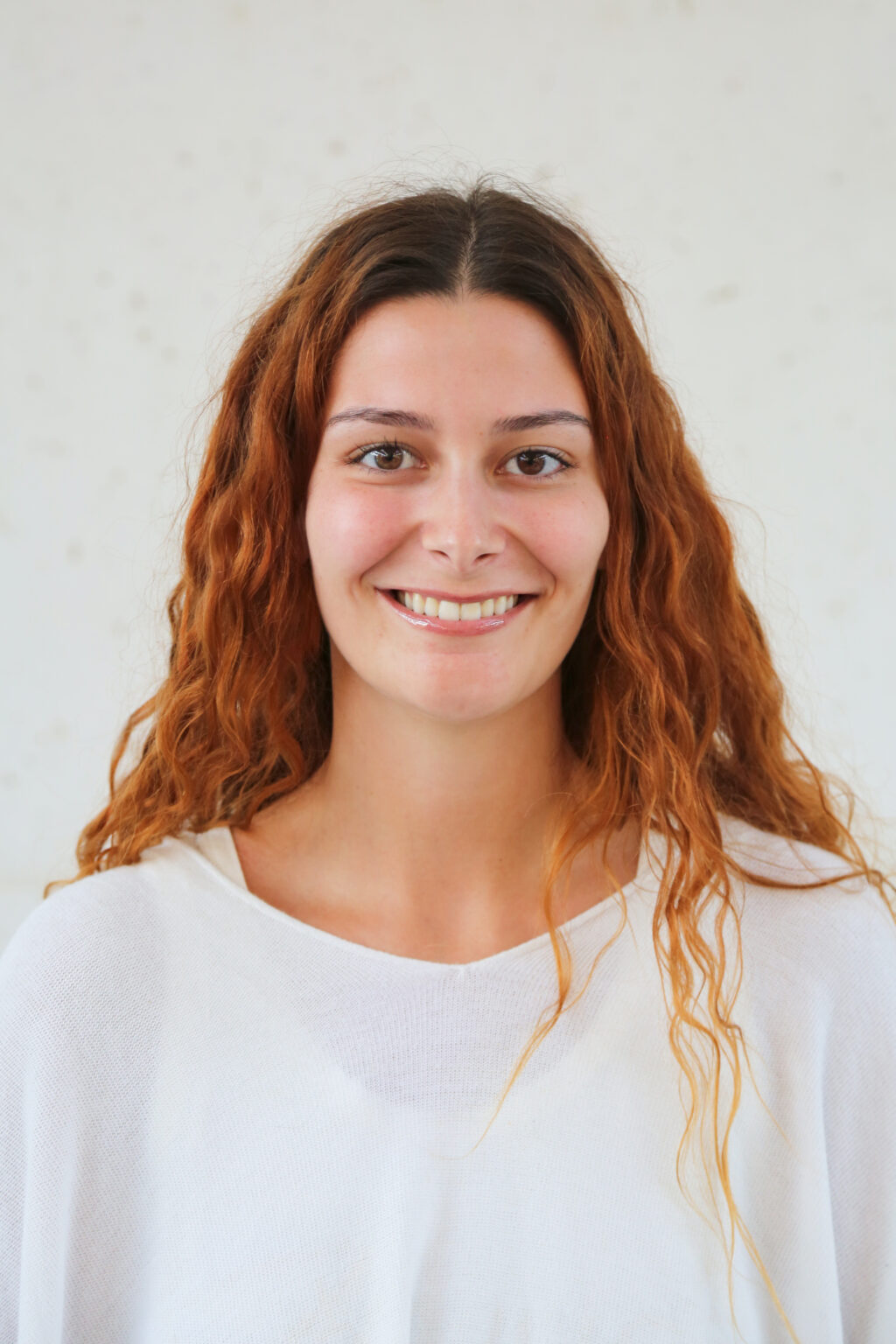 Team members – ICVS