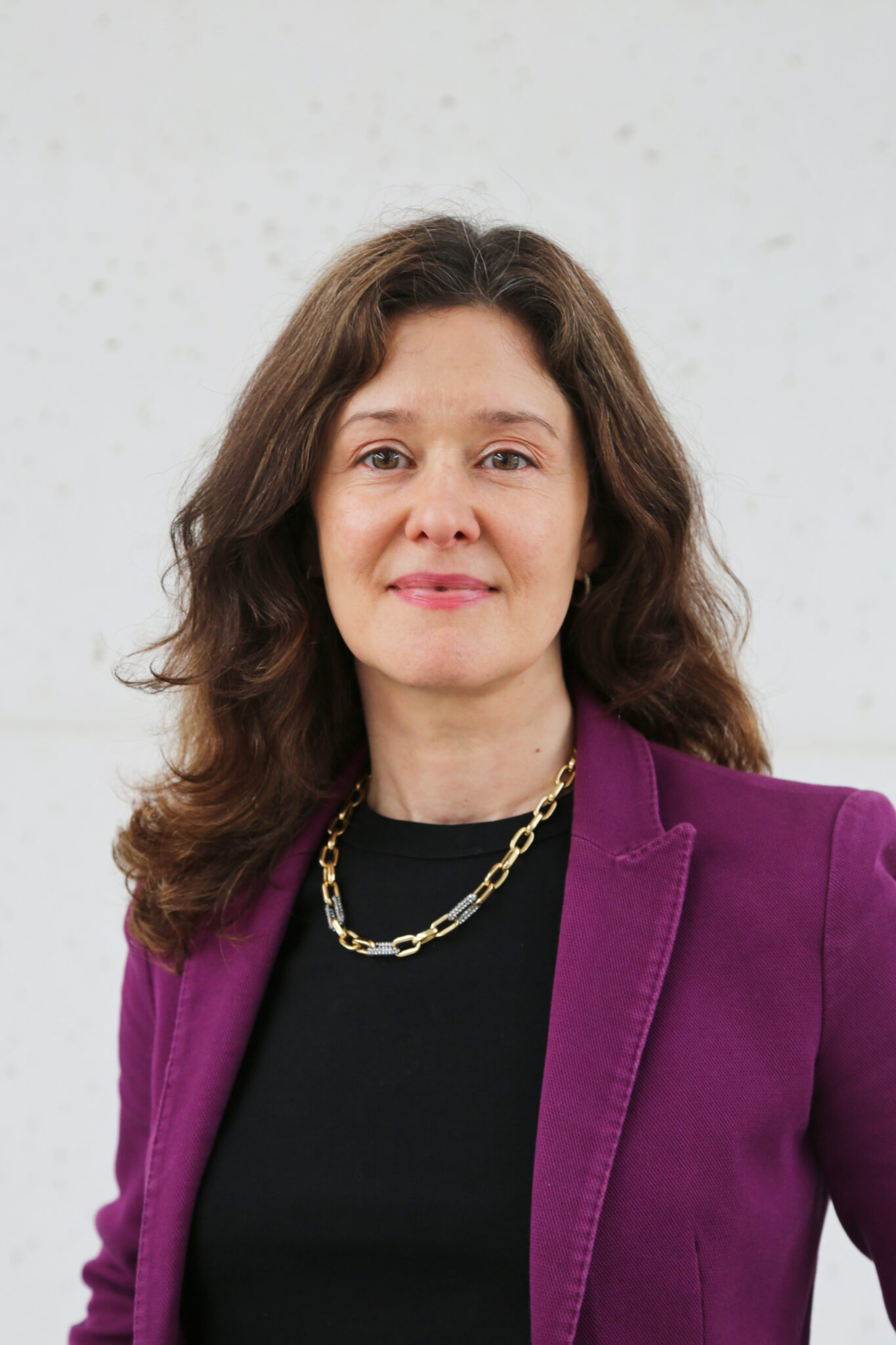 Team members – ICVS